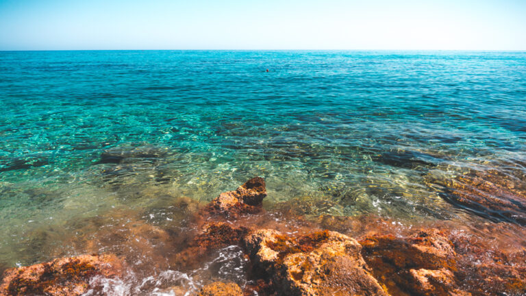 La Temperatura Del Mar Mediterráneo Alcanza Los 28 ºc Ambientum